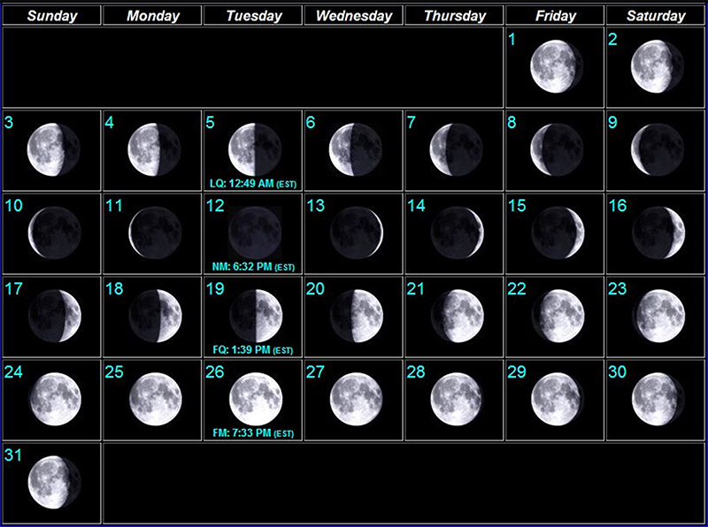 Surat Municipal Corporation - Science Centre