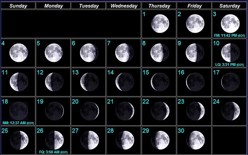 Surat Municipal Corporation - Science Centre