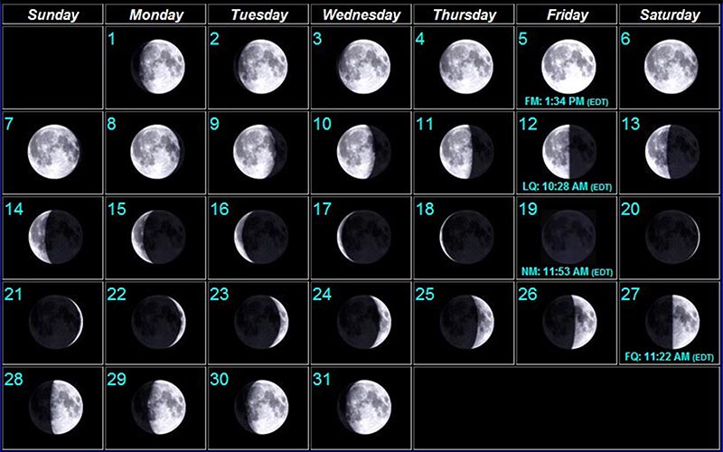 Surat Municipal Corporation - Science Centre